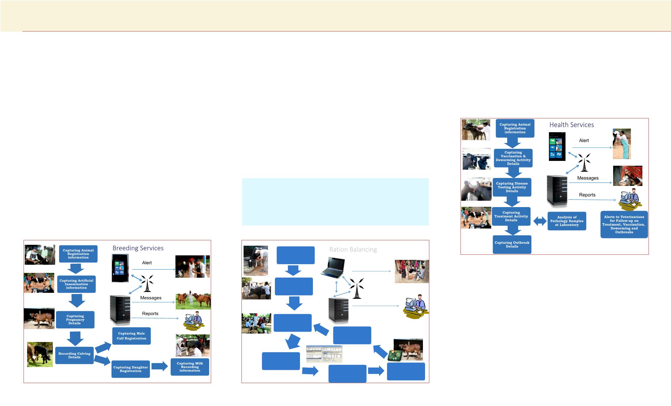 INAPH-brochure (for print 27.7.15)
